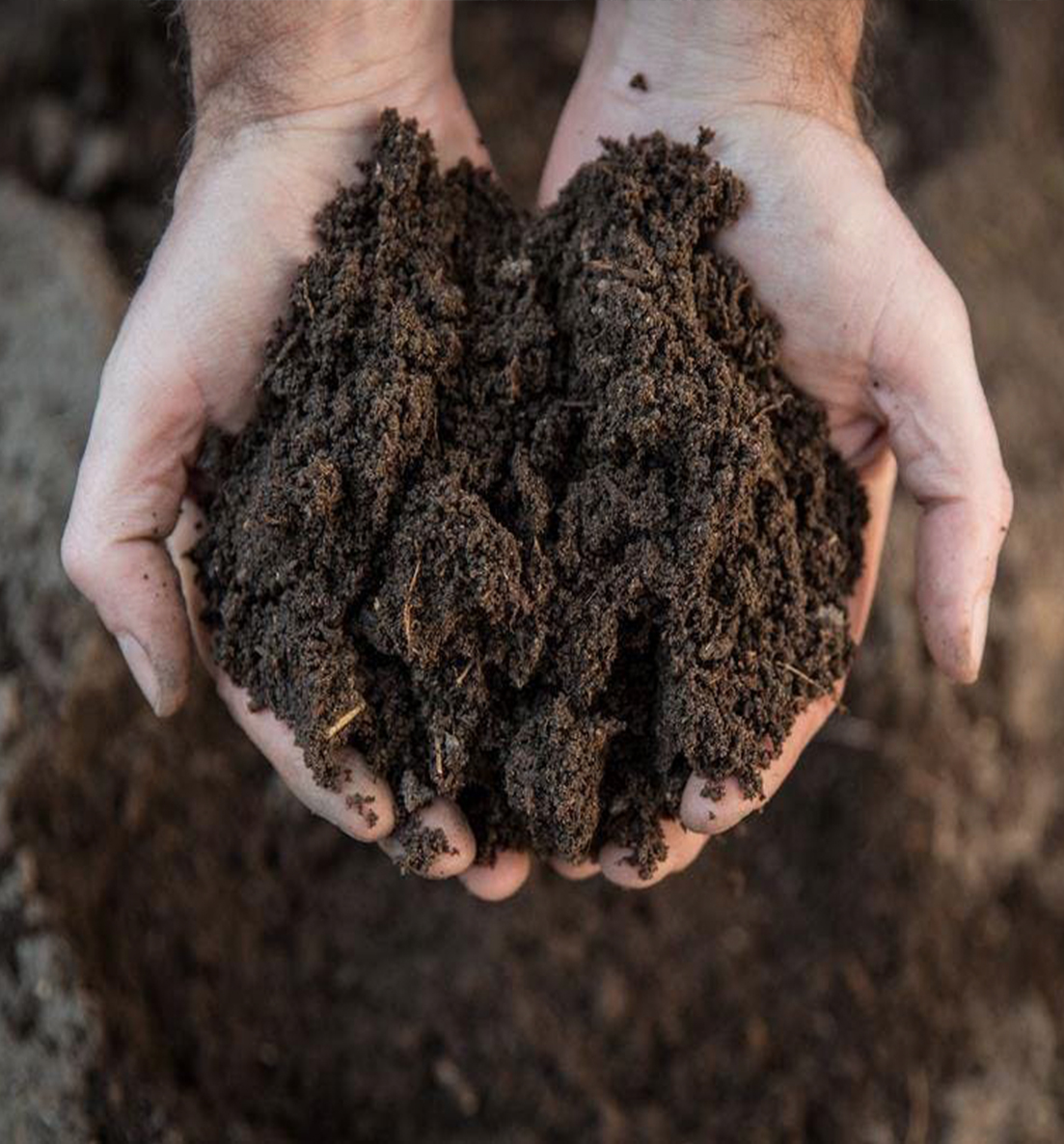 NBT Base & Pave S/B – Make durable road affordable!